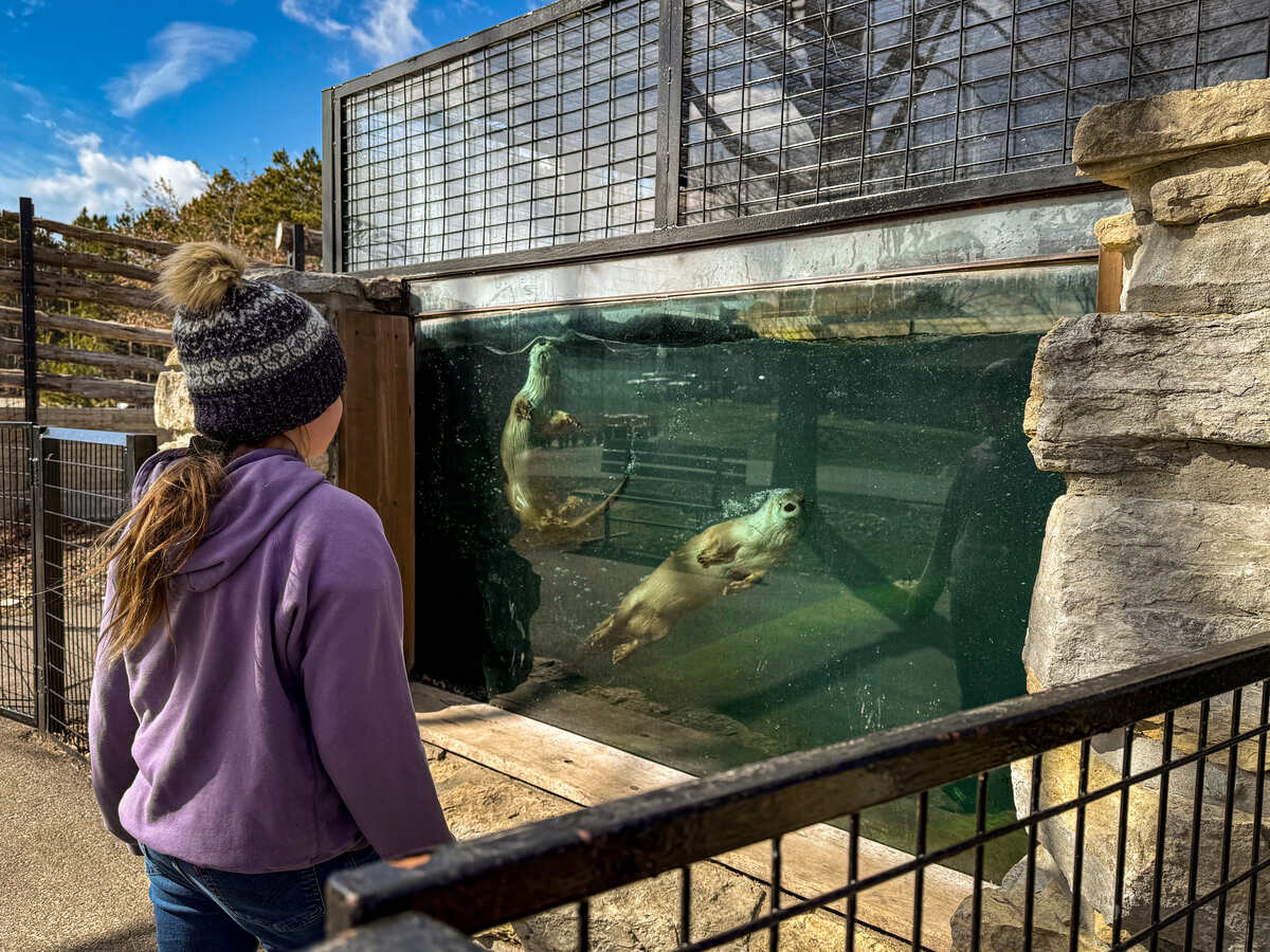 Rochester with Kids: 2 Days Packed with Fun Things to Do